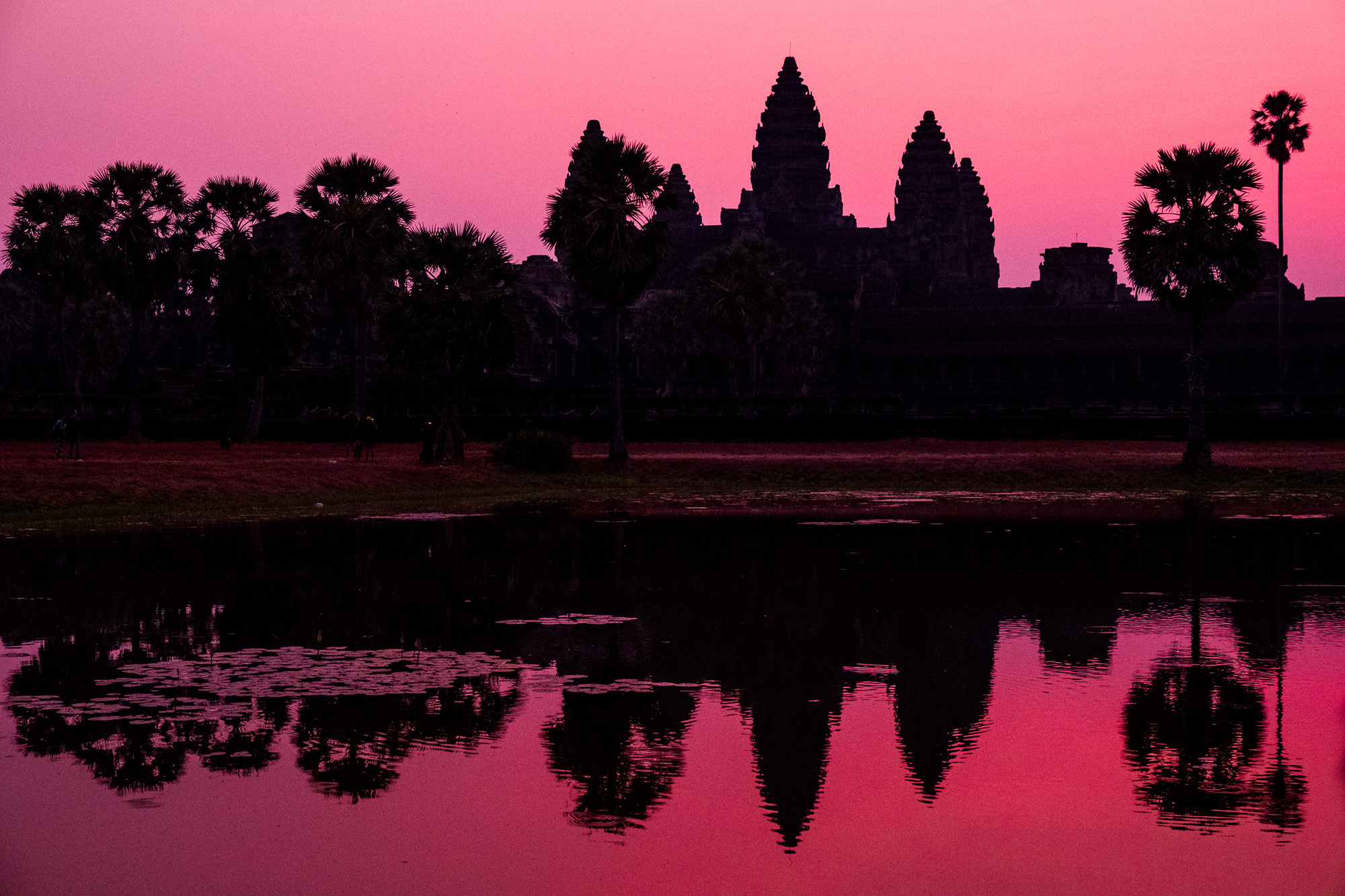 Philicious Photos – Philipp Lang