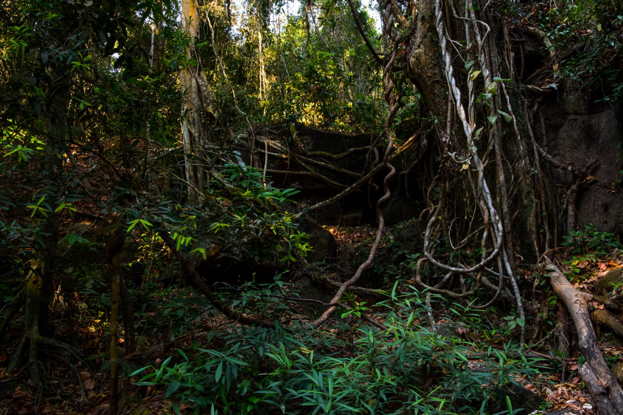 Philicious Photos – Philipp Lang